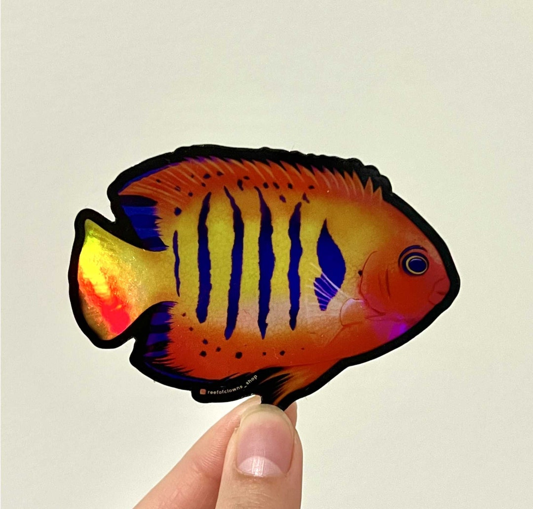 Flame Angelfish (holographic) | Fish Art Sticker | Aquarium Art ...