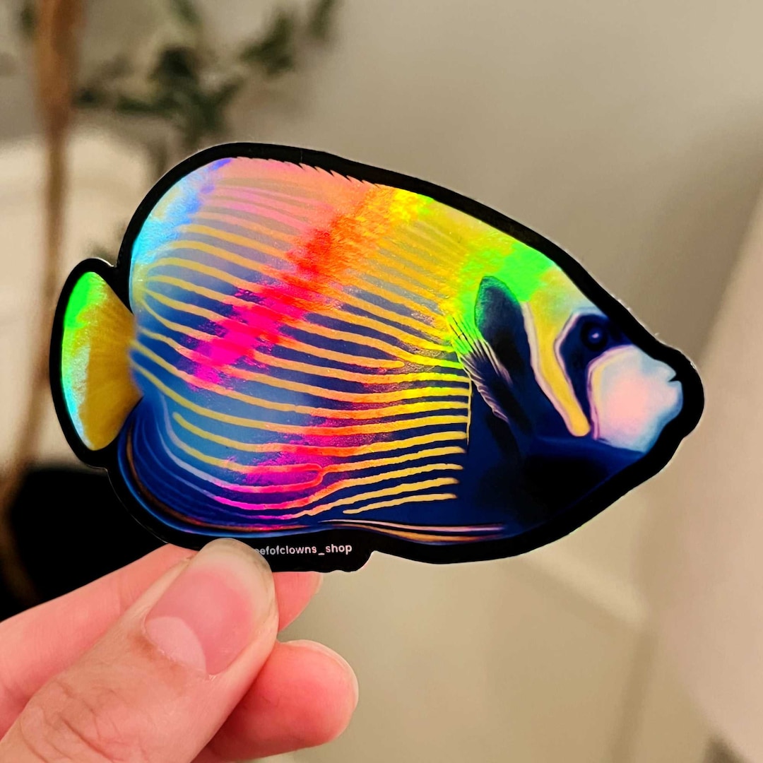 Emperor Angelfish (holographic) | Fish Art Sticker | Aquarium Art ...