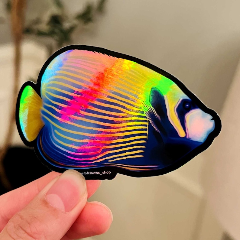 Emperor Angelfish holographic Fish Art Sticker Aquarium - Etsy