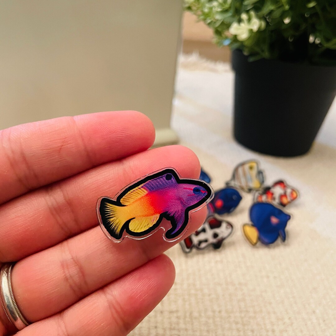 Royal Gramma Pin | Fish Art Pin | Aquarium Art | Saltwater Fish Pin ...