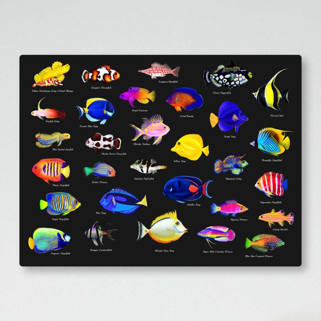 Reef Fish Collection UV Blacklight Tapestry - Etsy