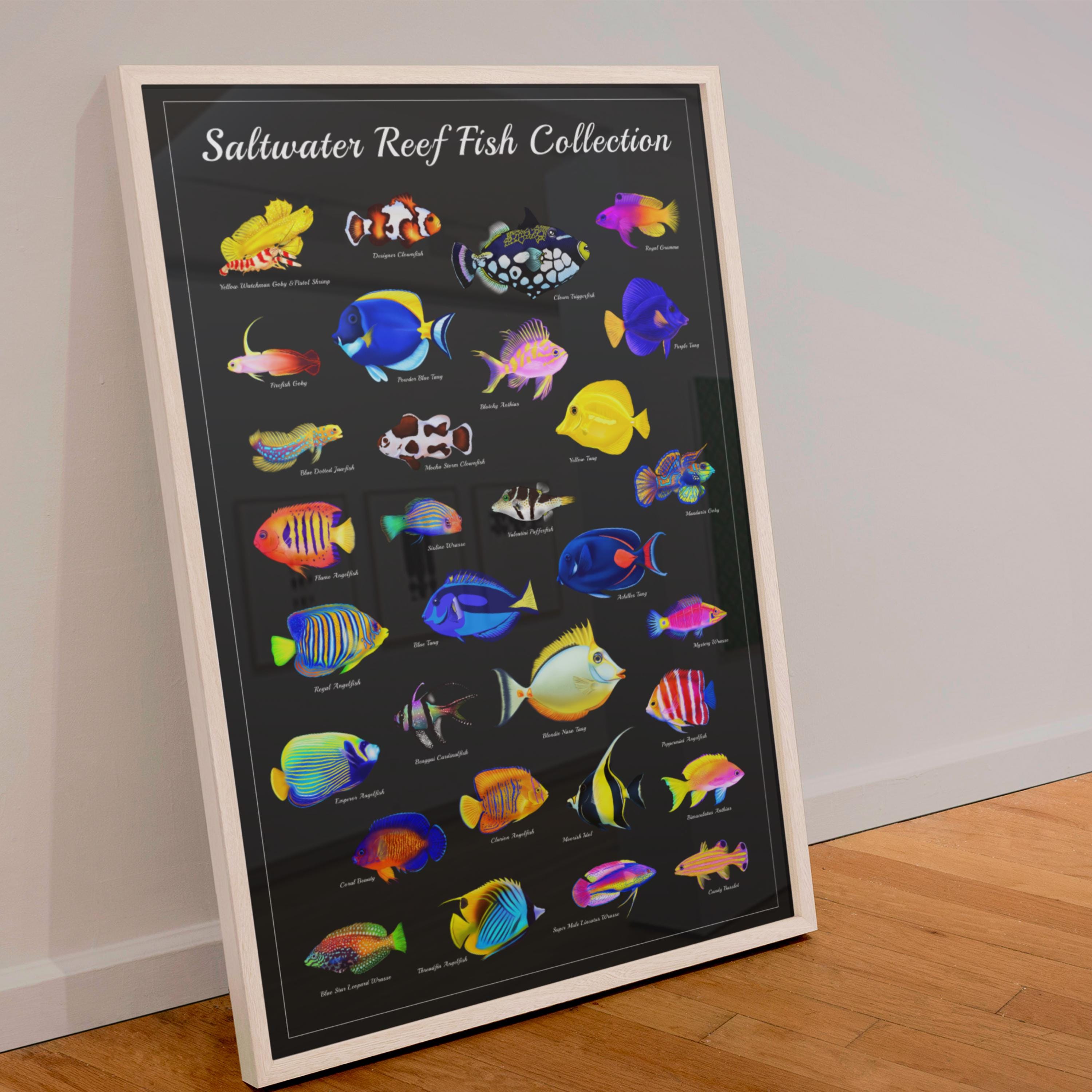 Saltwater Fish Identification Poster – Vibrant Reef Fish Wall Art With ...
