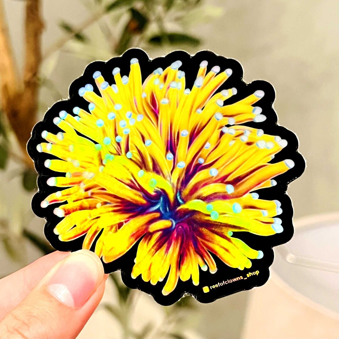 Aussie Gold Torch Coral Sticker (holographic) | Fish Art Sticker ...