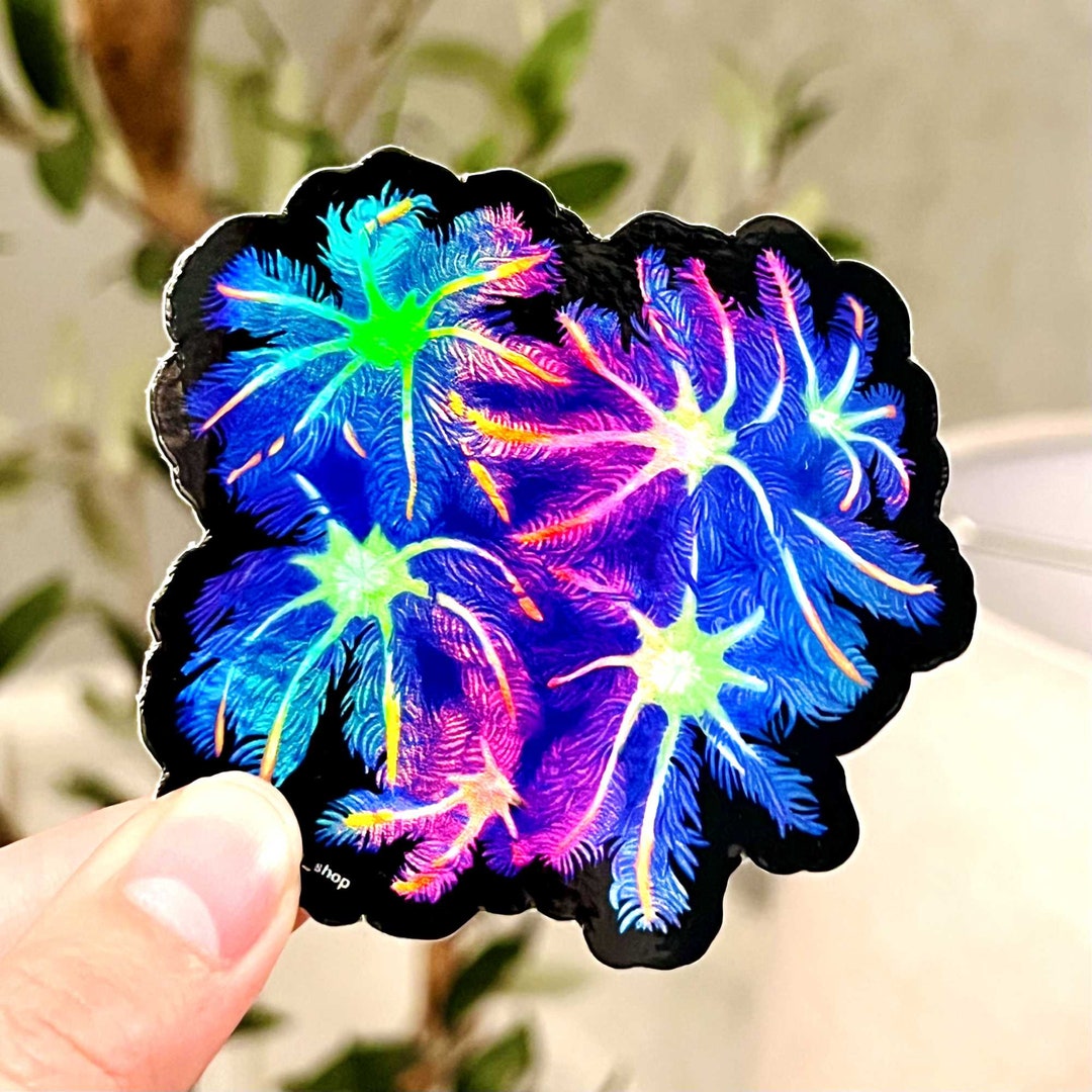Cloves Coral Sticker (holographic) | Fish Art Sticker | Aquarium Art ...