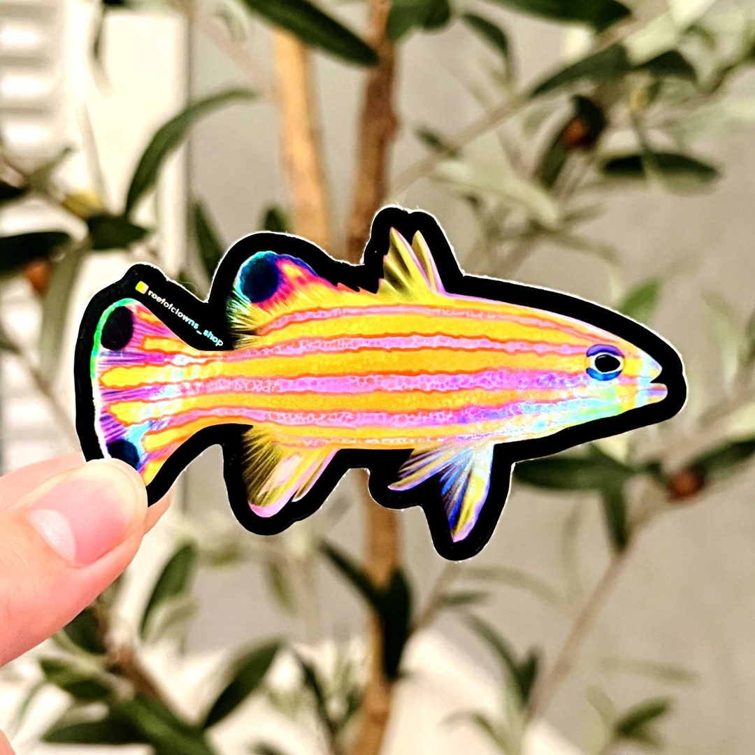 Candy Basslet Sticker (holographic) | Fish Art Sticker | Aquarium Art ...