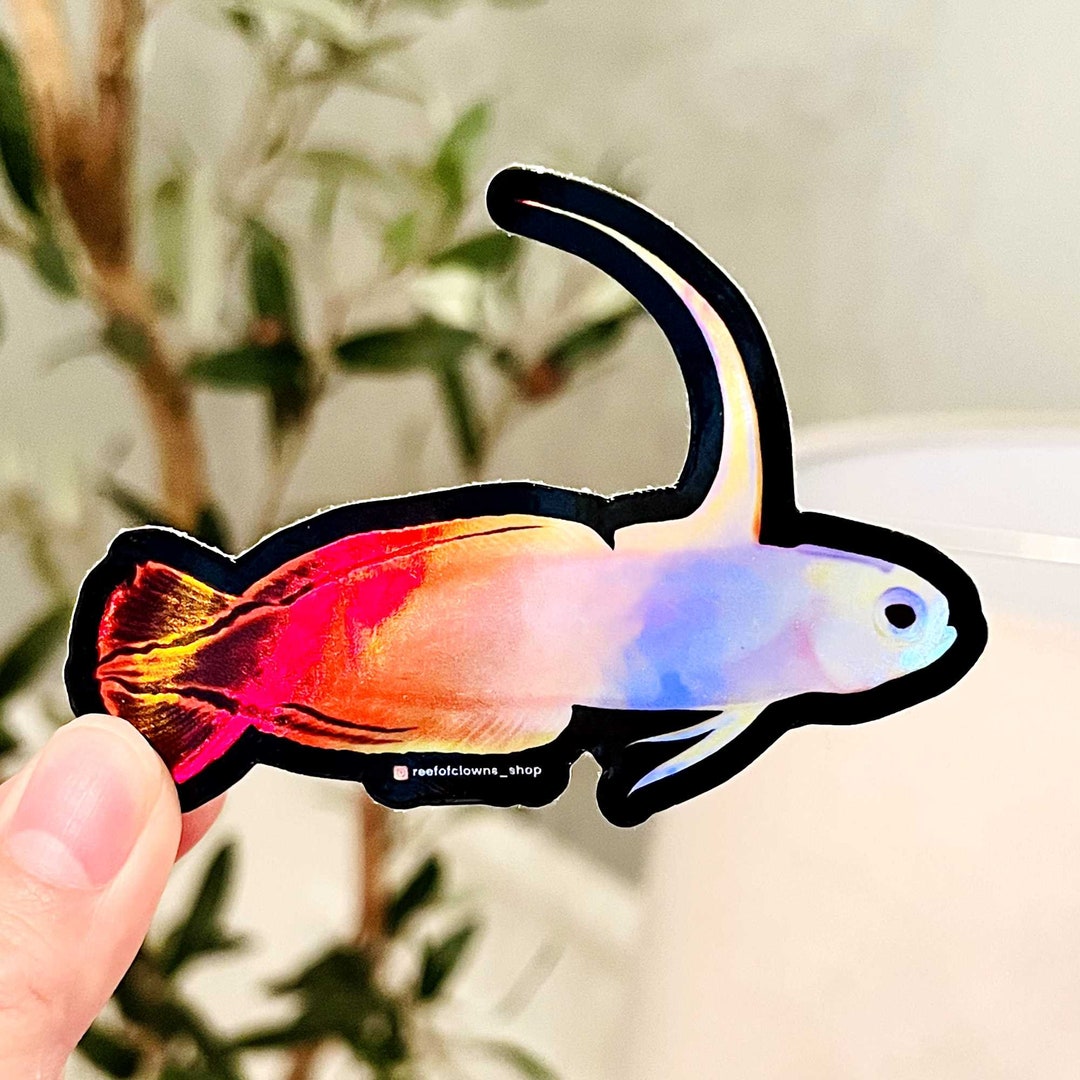 Firefish Goby Sticker (holographic) | Fish Art Sticker | Aquarium Art ...