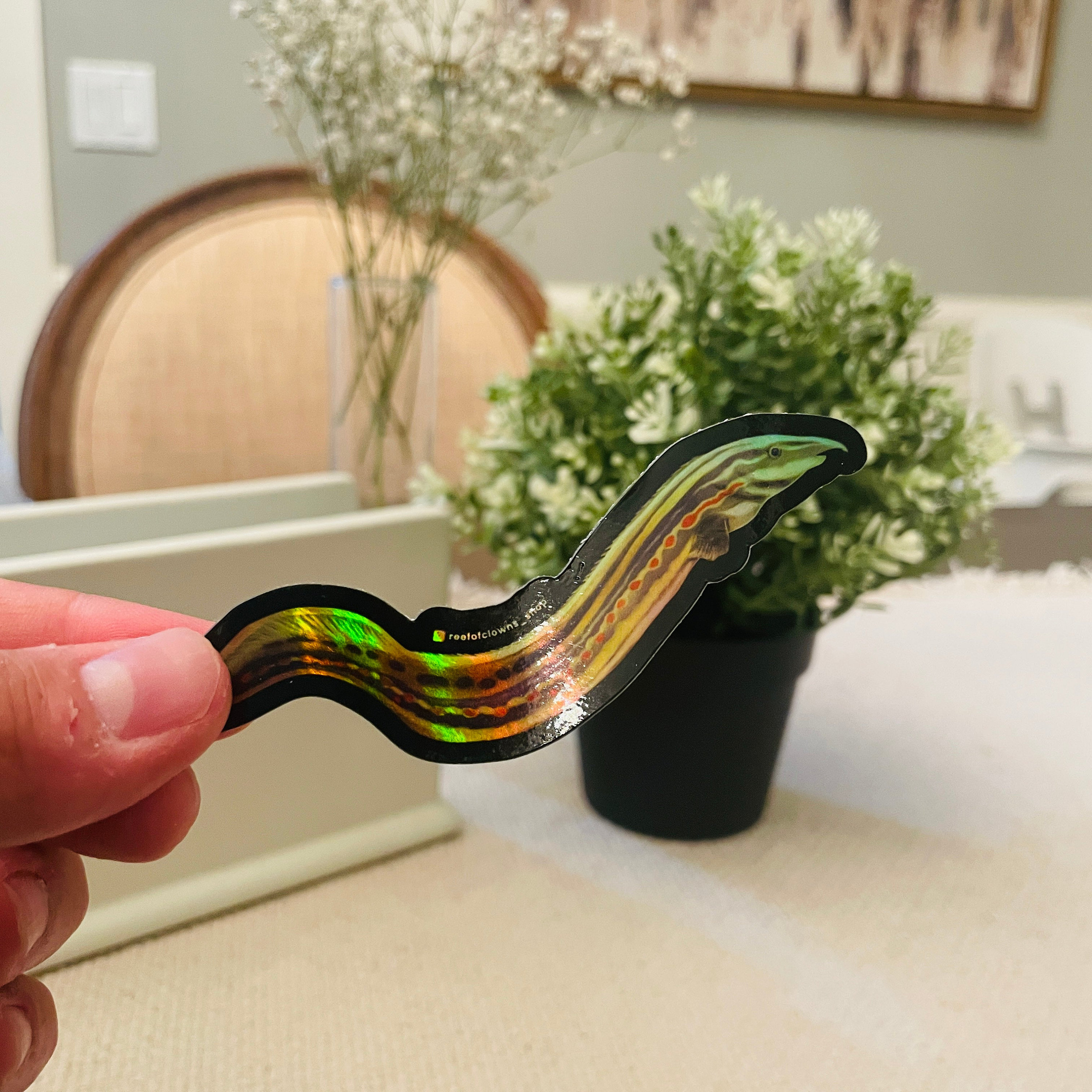 Fire Eel Sticker holographic Fish Art Sticker Aquarium Art Freshwater ...