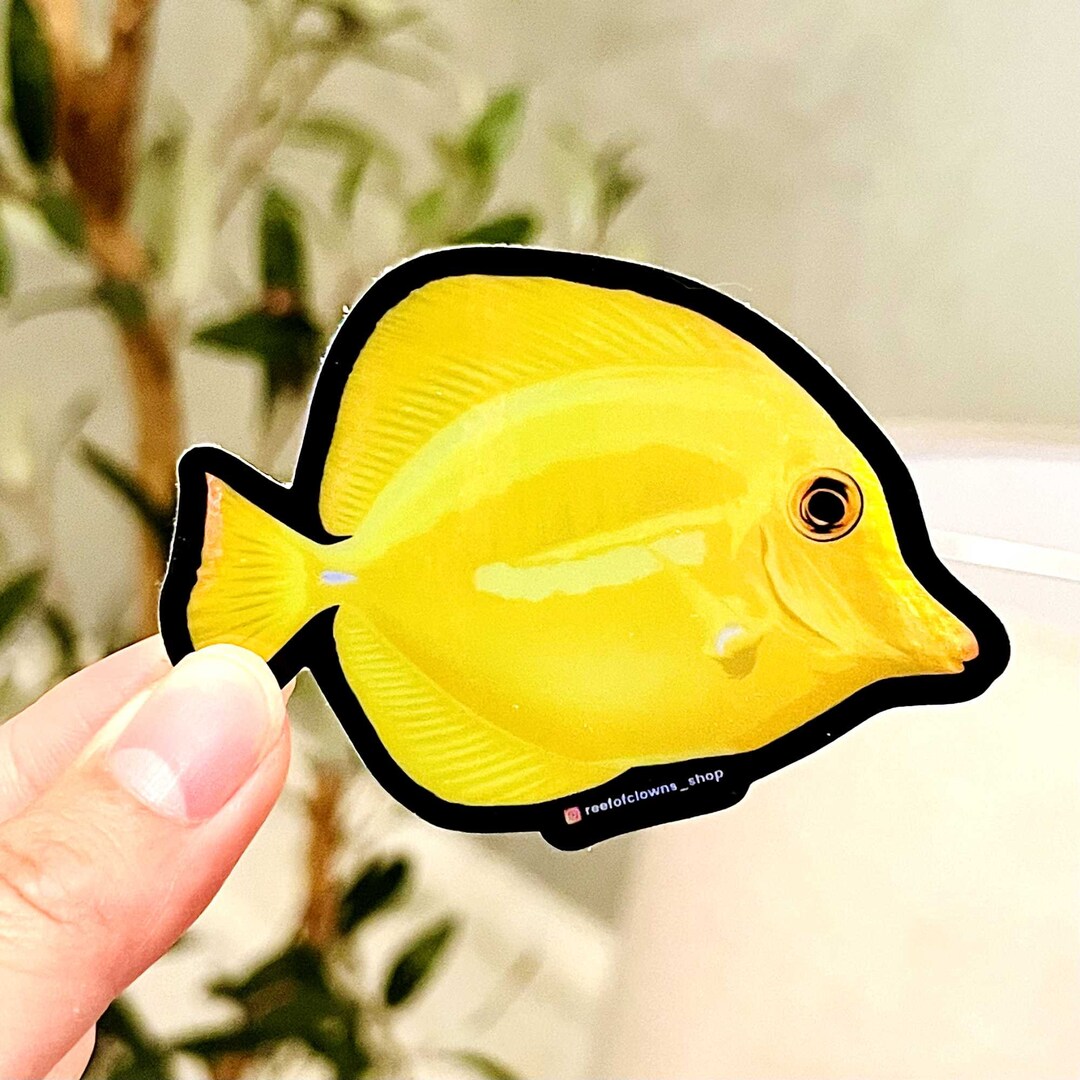Yellow Tang Sticker (holographic) | Fish Art Sticker | Aquarium Art ...