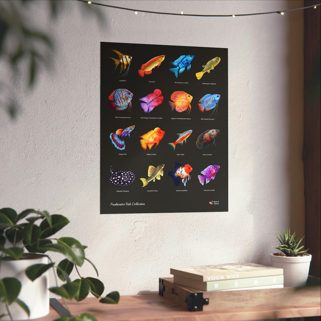 Freshwater Fish Collection Poster - Etsy