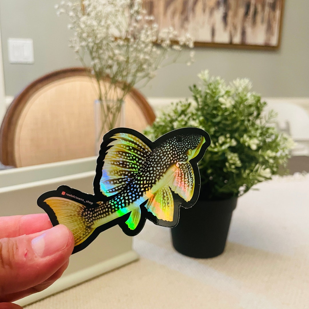 Sunshine Pleco Sticker (holographic) | Fish Art Sticker | Aquarium Art ...