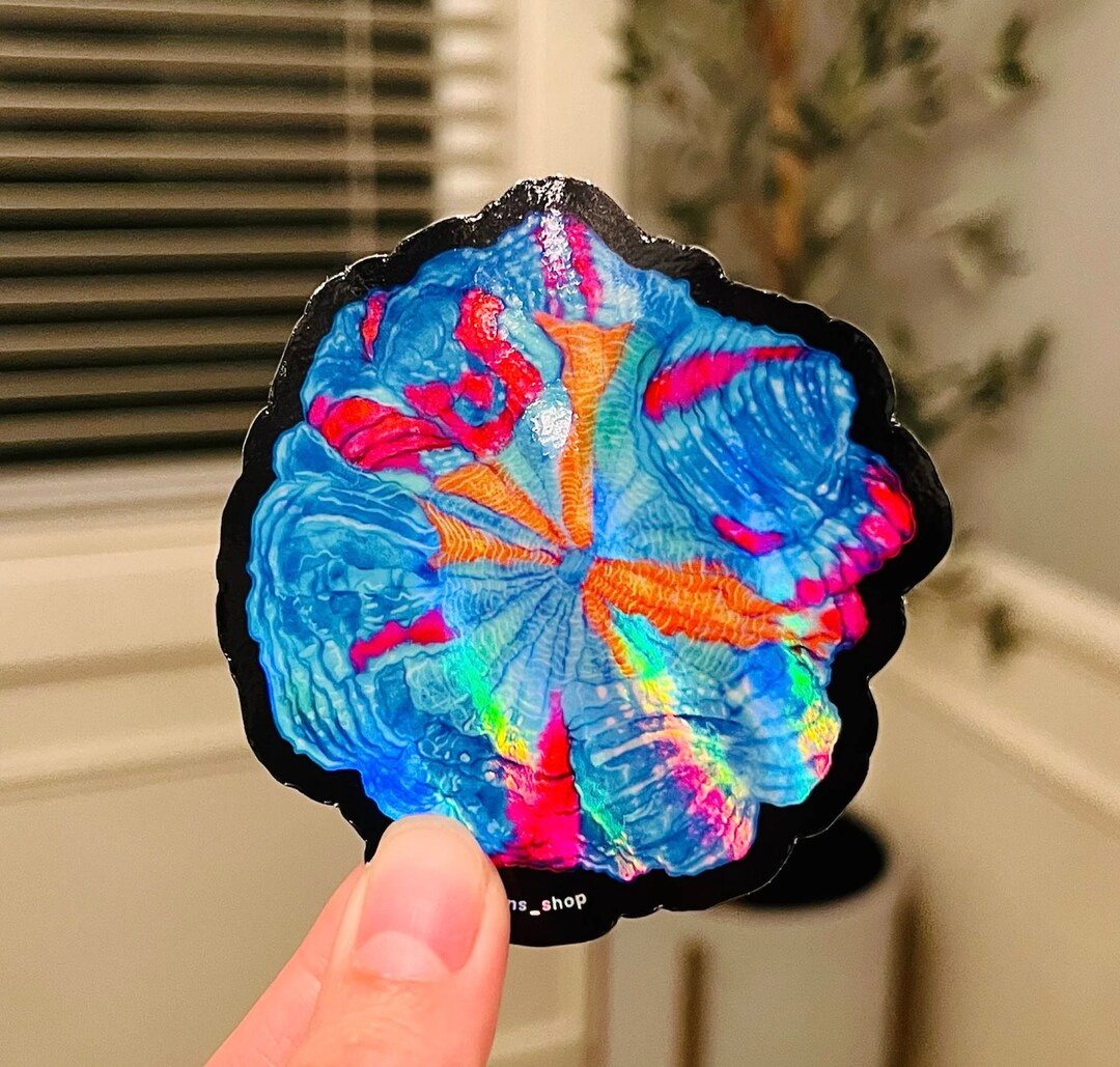 Ultra Rainbow Acantho Coral Sticker (holographic) | Fish Art Sticker ...