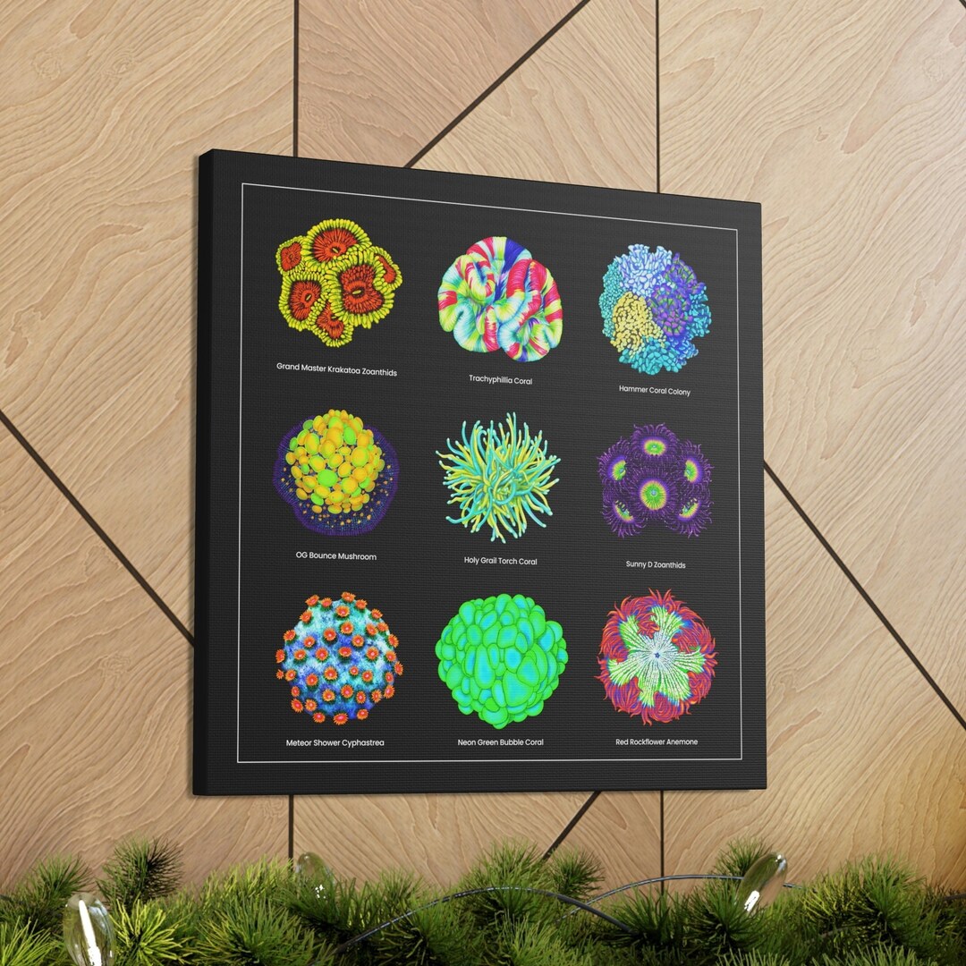 Coral Collection With Names V2 | Reef Aquarium Canvas Wall Art for ...