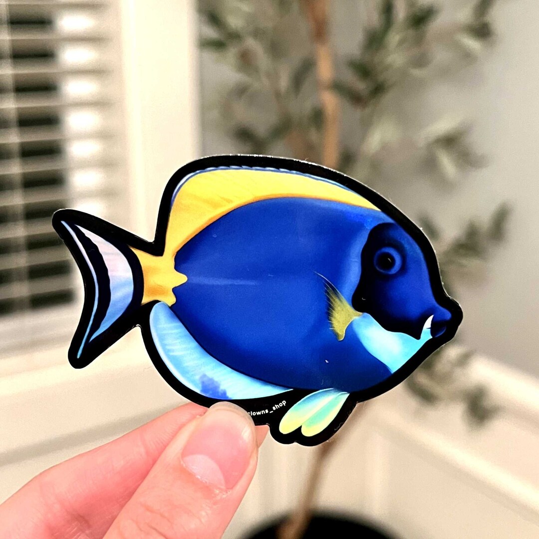 Powder Blue Tang (holographic) | Fish Art Sticker | Aquarium Art ...