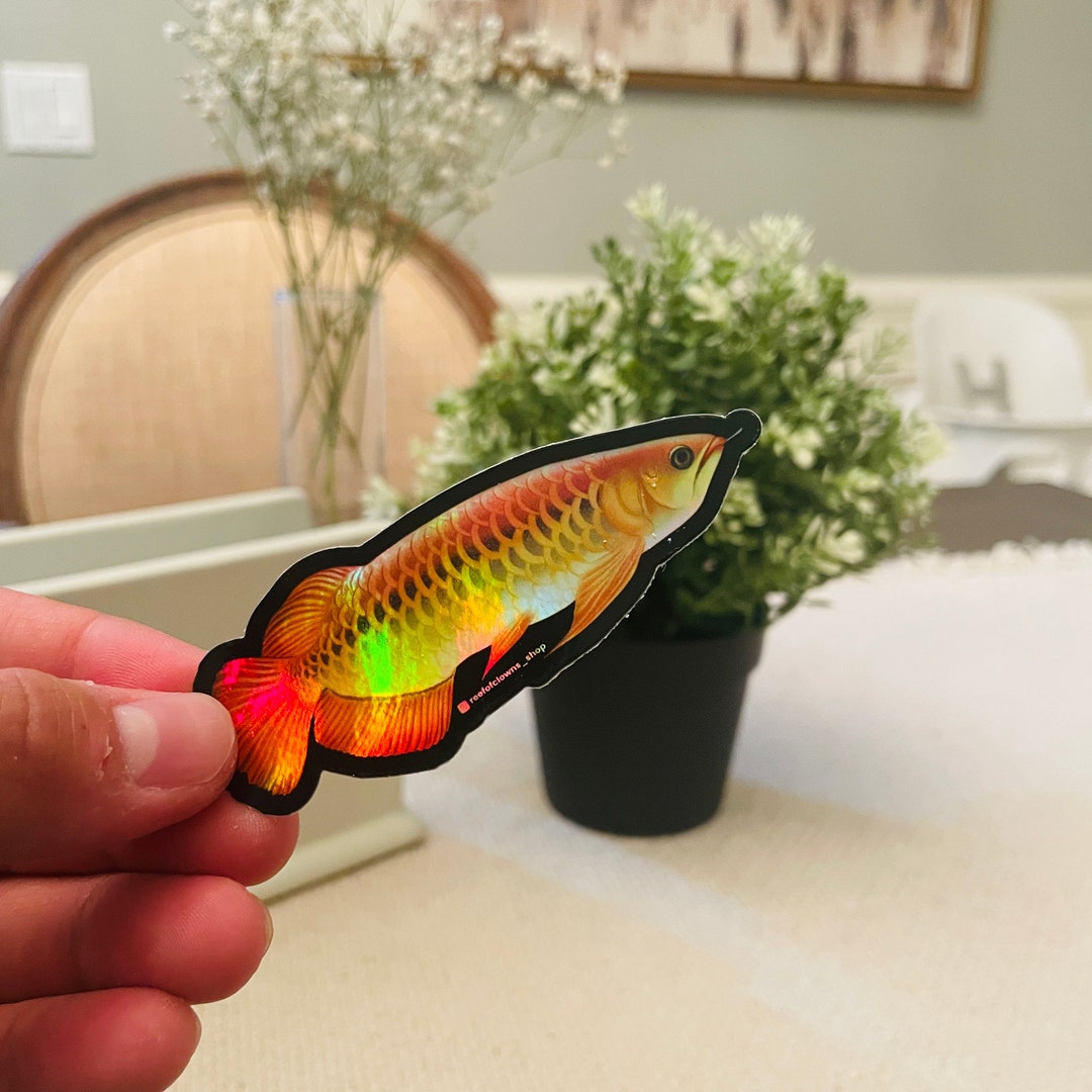 Arowana Sticker (holographic) | Fish Art Sticker | Aquarium Art ...