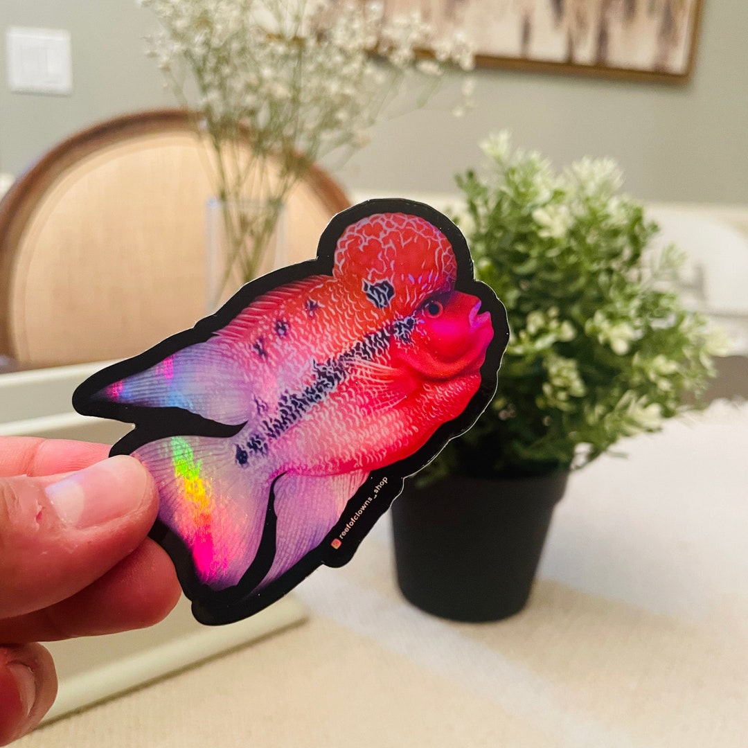 Red Dragon Flowerhorn Cichlid Sticker (holographic) | Fish Art Sticker ...