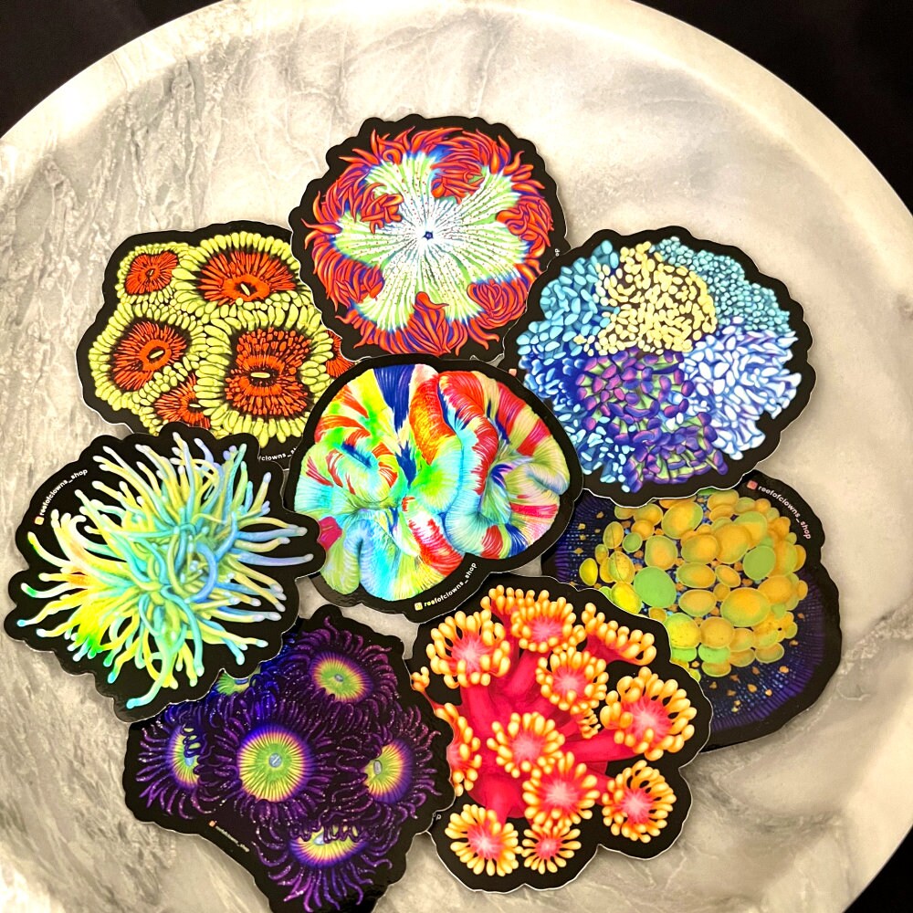 Holy Grail Torch Coral Sticker (holographic) | Fish Art Sticker ...