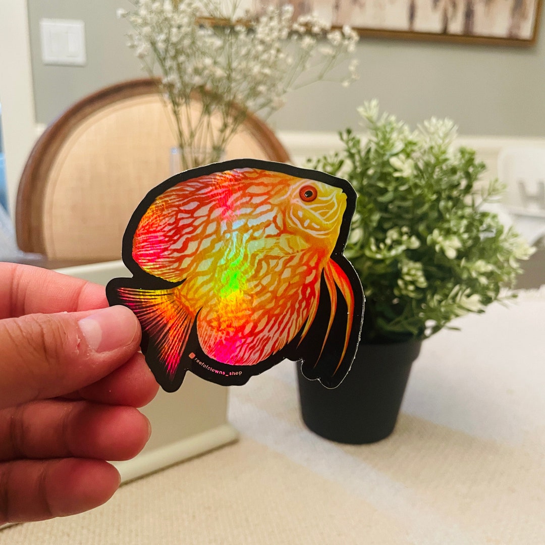 Pigeon Checkerboard Discus Sticker (holographic) | Fish Art Sticker ...