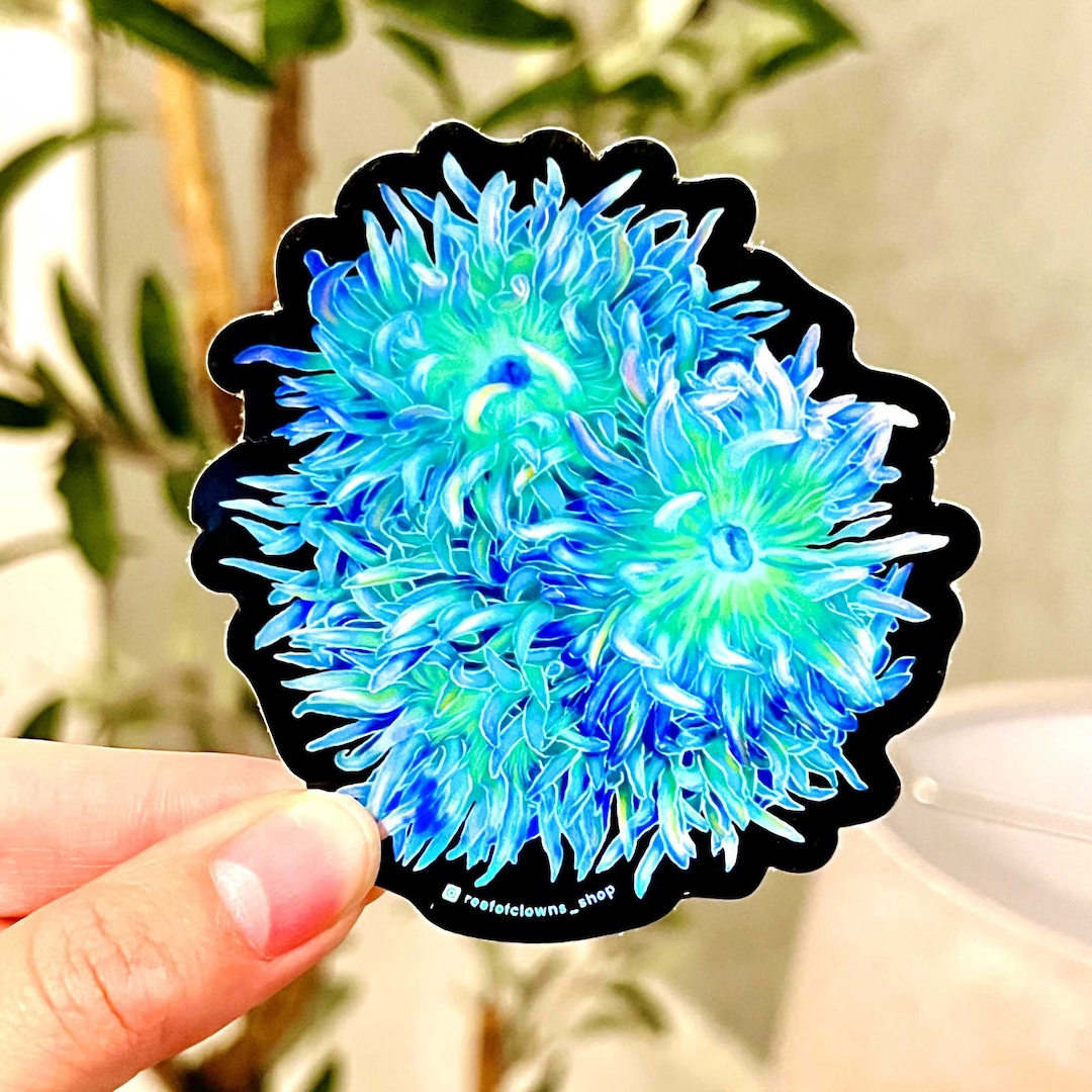 Duncan Coral Sticker (holographic) | Fish Art Sticker | Aquarium Art ...
