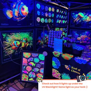 Fish and Corals | UV Reactive Blacklight Tapestry | Reef Aquarium ...
