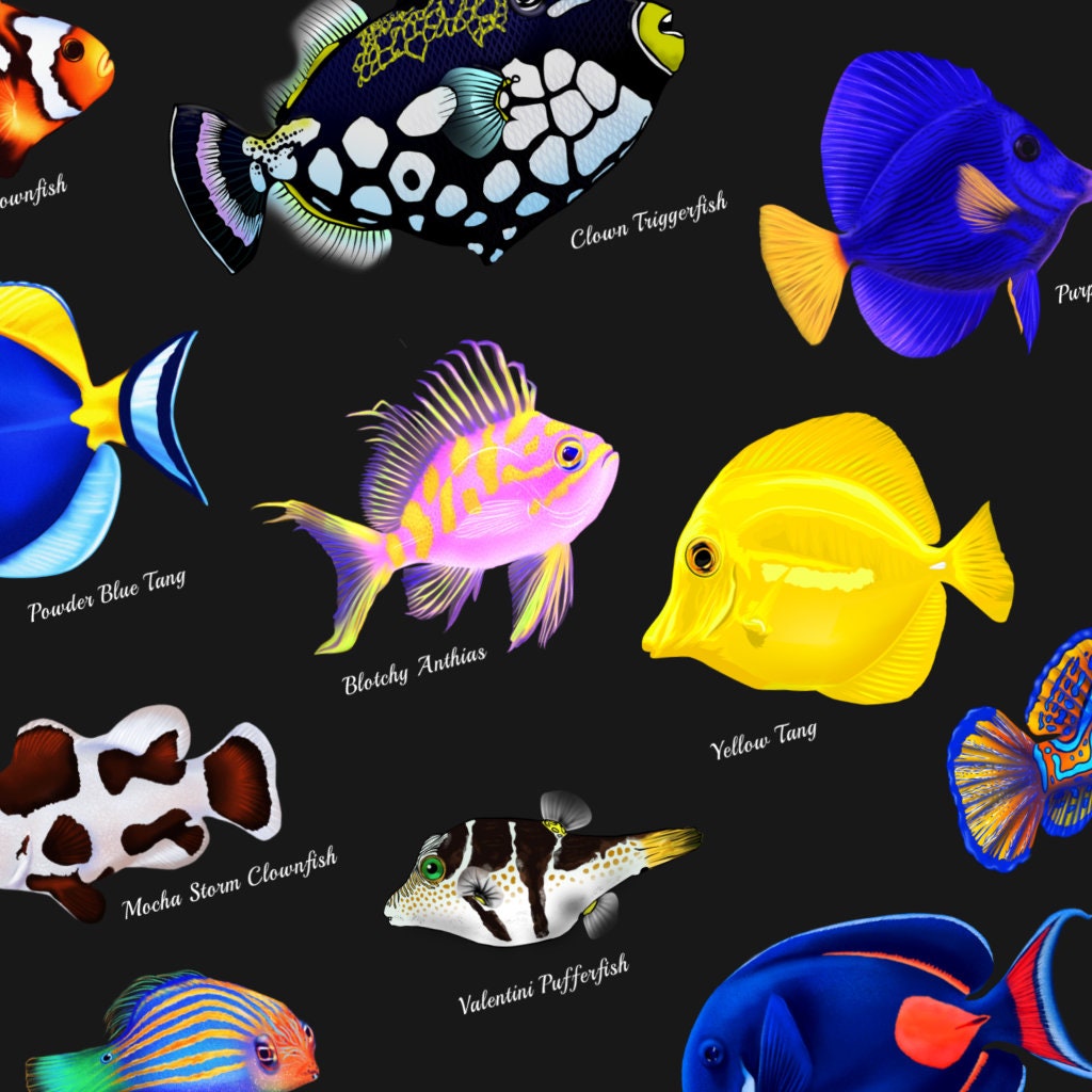 Tropical Saltwater Fish List