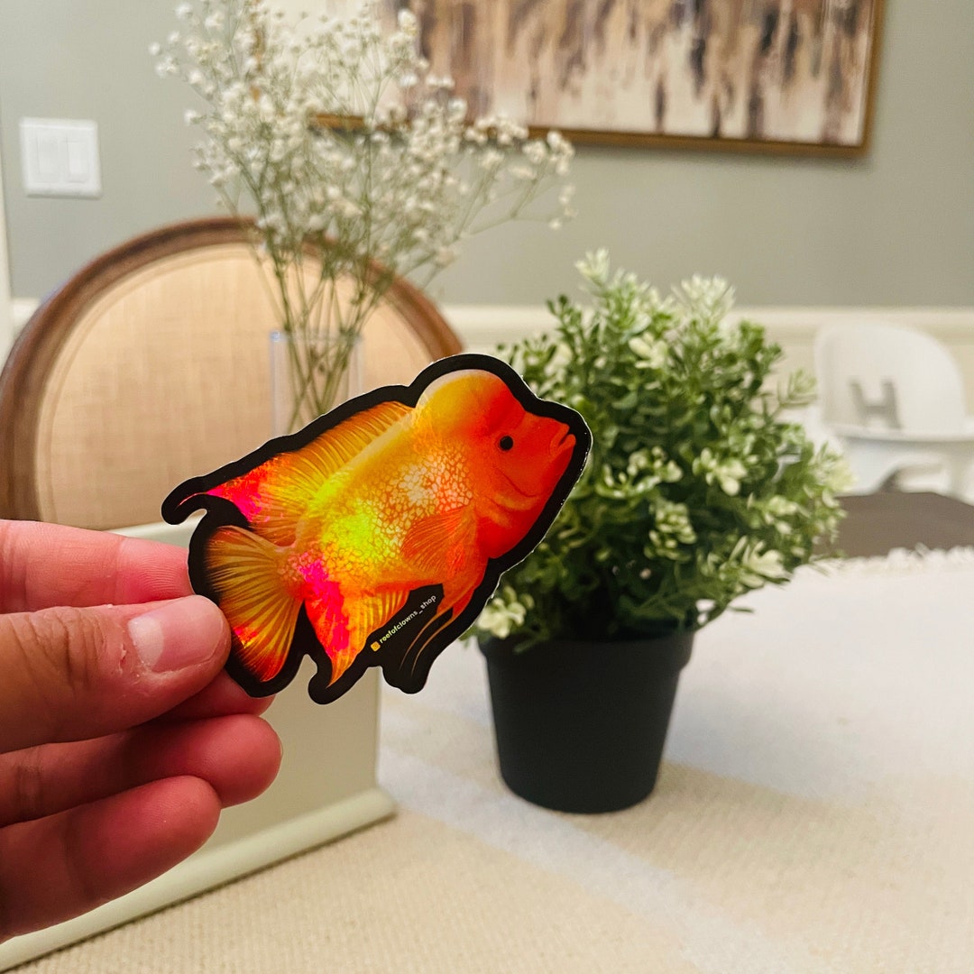 Midas Cichlid Sticker (holographic) | Fish Art Sticker | Aquarium Art ...