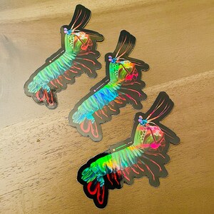 Mantis Shrimp Sticker (holographic) | Fish Art Sticker | Aquarium Art ...
