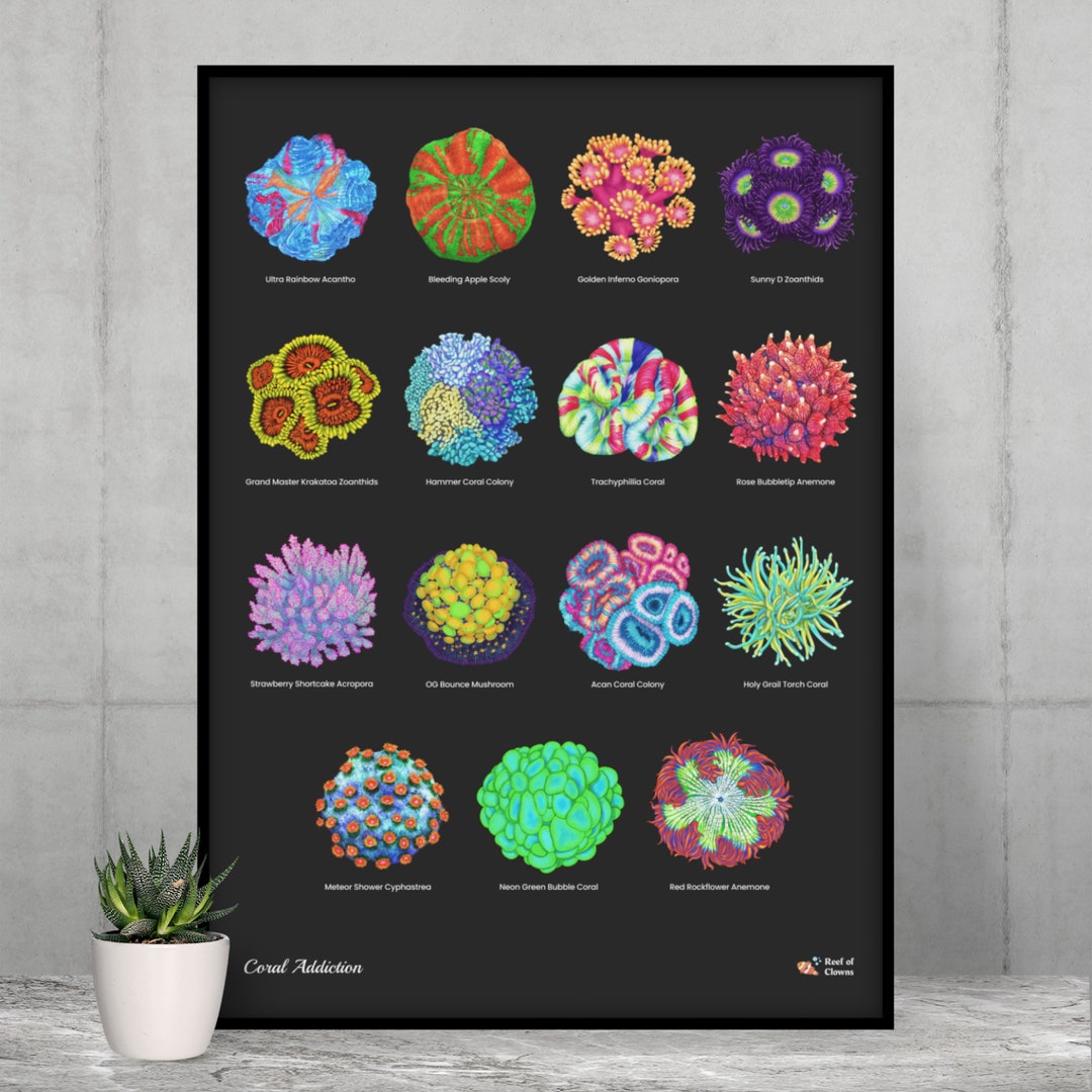 15 Hand-drawn Based Coral Poster (vertical) | Awesome Reef Aquarium ...