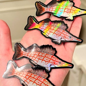 Longnose Hawkfish (holographic) | Fish Art Sticker | Aquarium Art ...