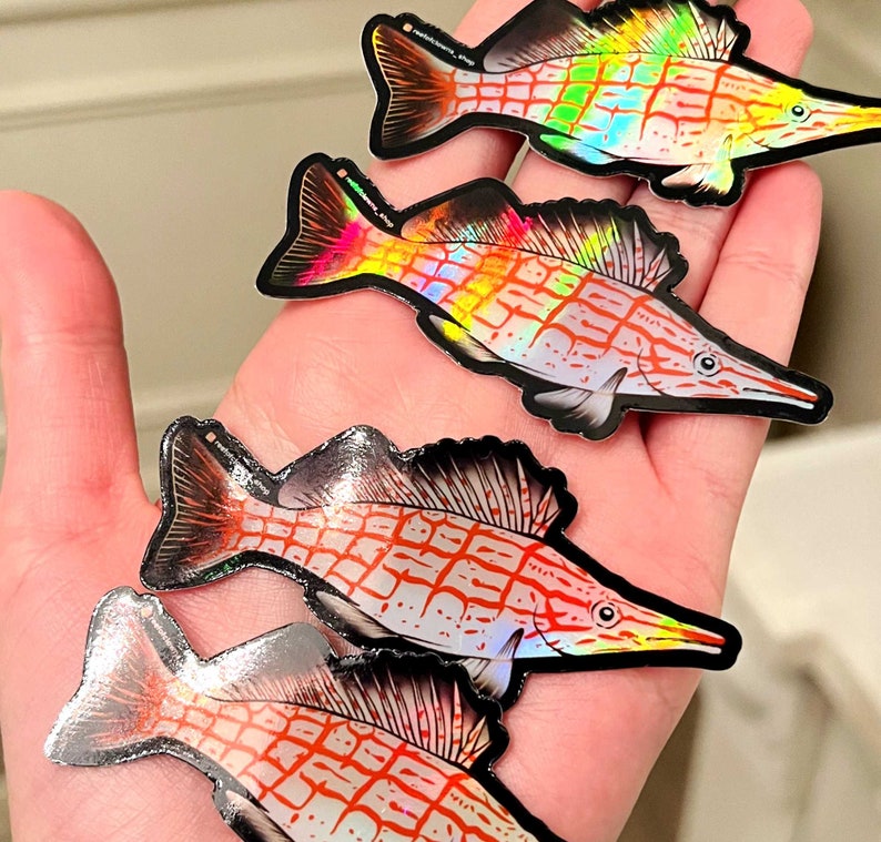 Longnose Hawkfish (holographic) | Fish Art Sticker | Aquarium Art ...