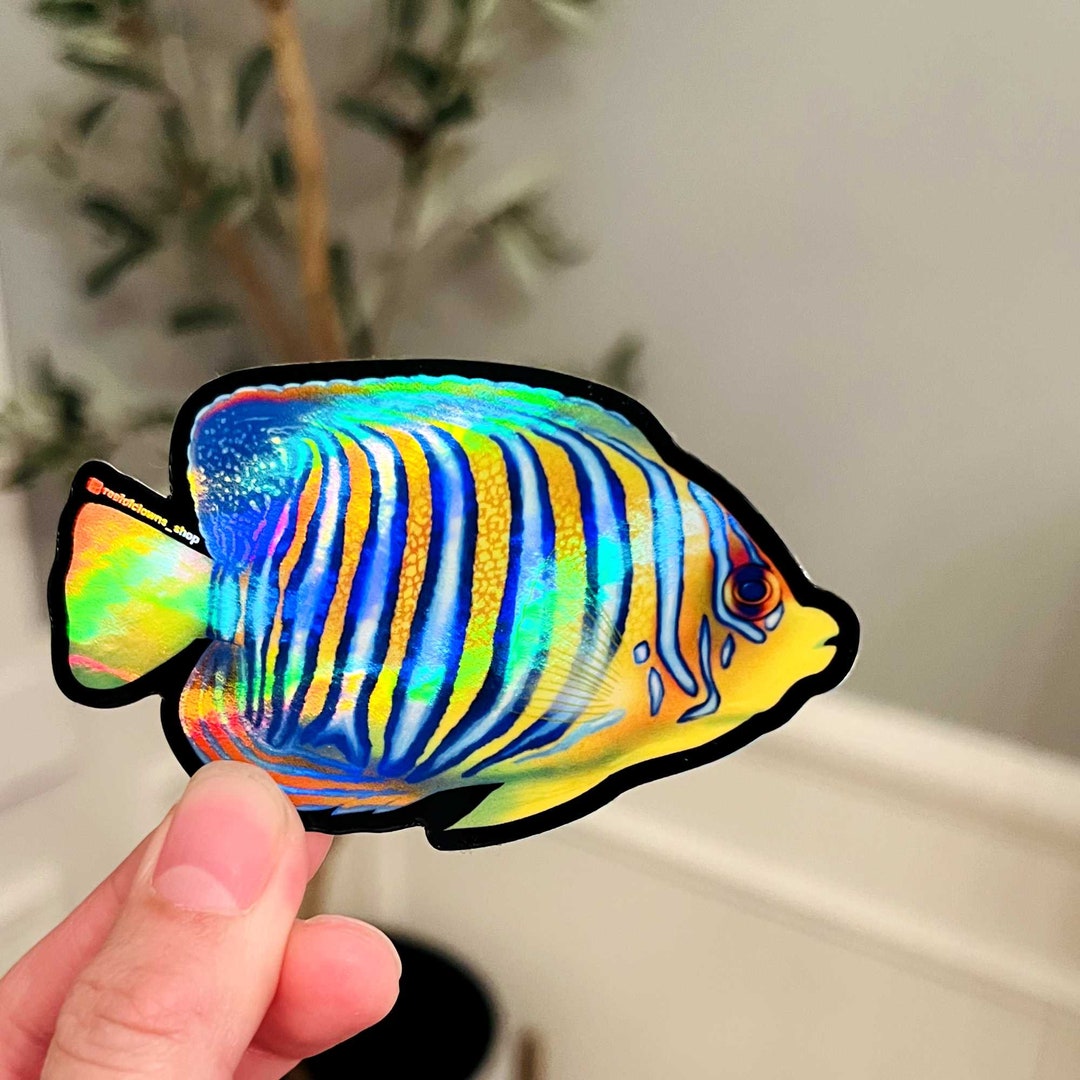 Regal Angelfish (holographic) | Fish Art Sticker | Aquarium Art ...