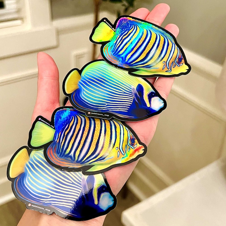 Emperor Angelfish holographic Fish Art Sticker Aquarium - Etsy