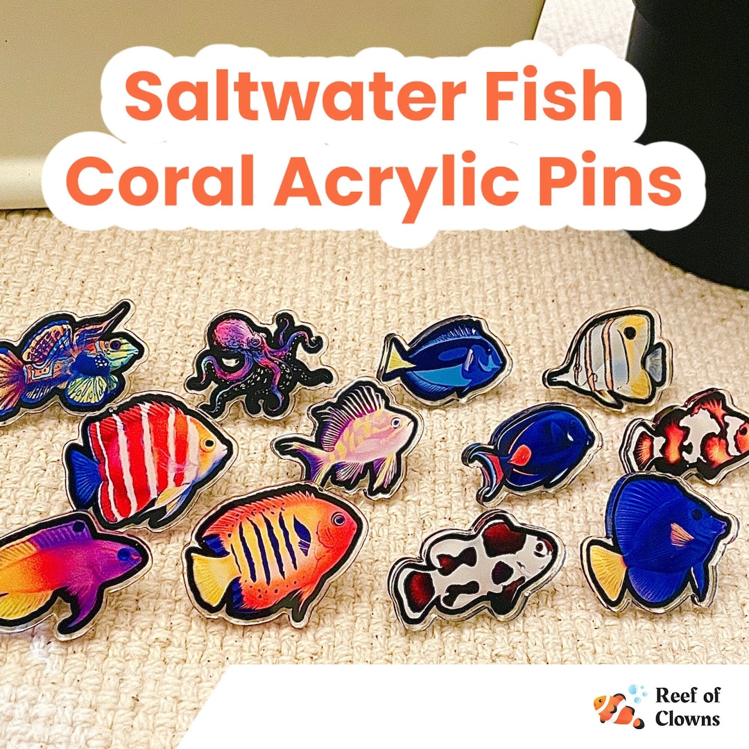 Saltwater Fish and Corals Acrylic Pins | Choose Your Own Aquarium Reef ...