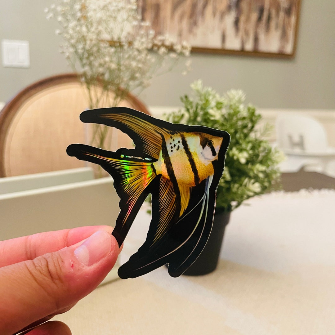 Angelfish Sticker (holographic) | Fish Art Sticker | Aquarium Art ...