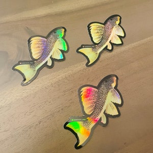 Sunshine Pleco Sticker (holographic) | Fish Art Sticker | Aquarium Art ...