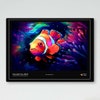 Reef Magic UV Reactive Blacklight Tapestry Reef Aquarium Hobbyists ...
