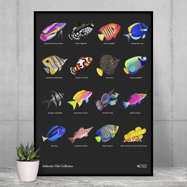 Fish Poster - Etsy