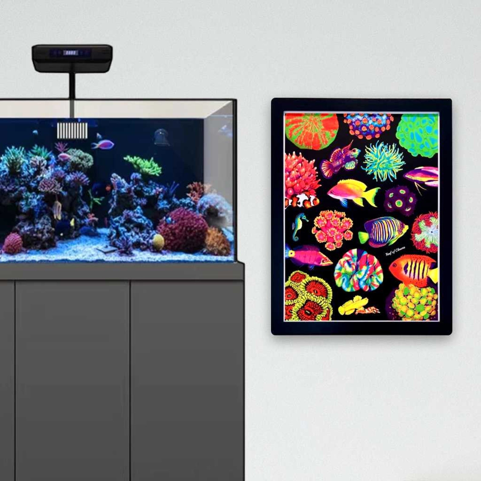 UV Reactive Blacklight Fish and Corals Poster | Awesome Addition to ...
