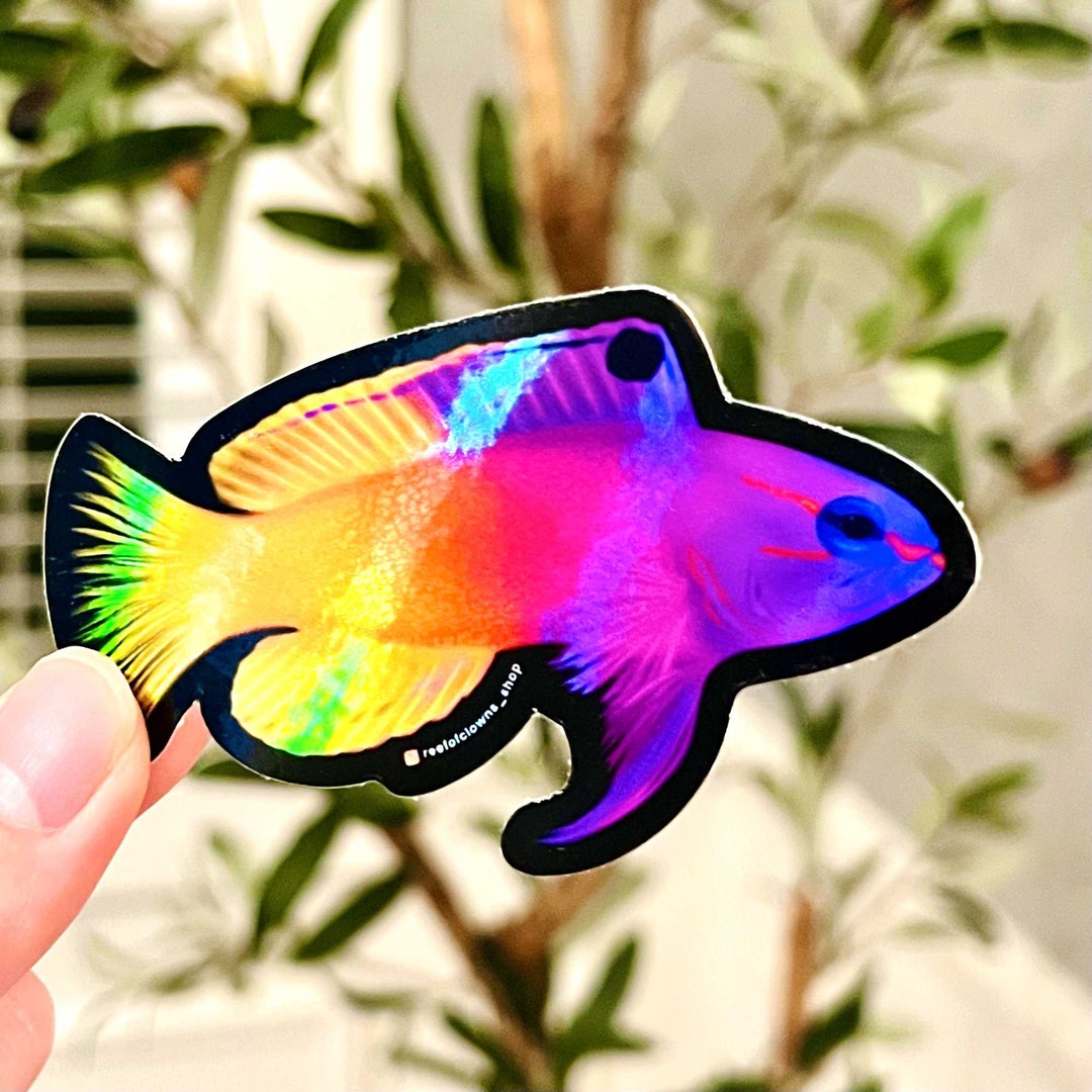Royal Gramma Sticker (holographic) | Fish Art Sticker | Aquarium Art ...