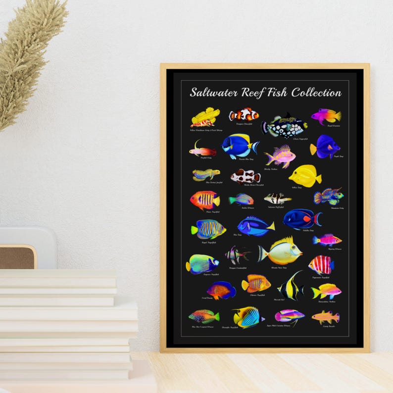 Saltwater Fish Identification Poster – Vibrant Reef Fish Wall Art With ...
