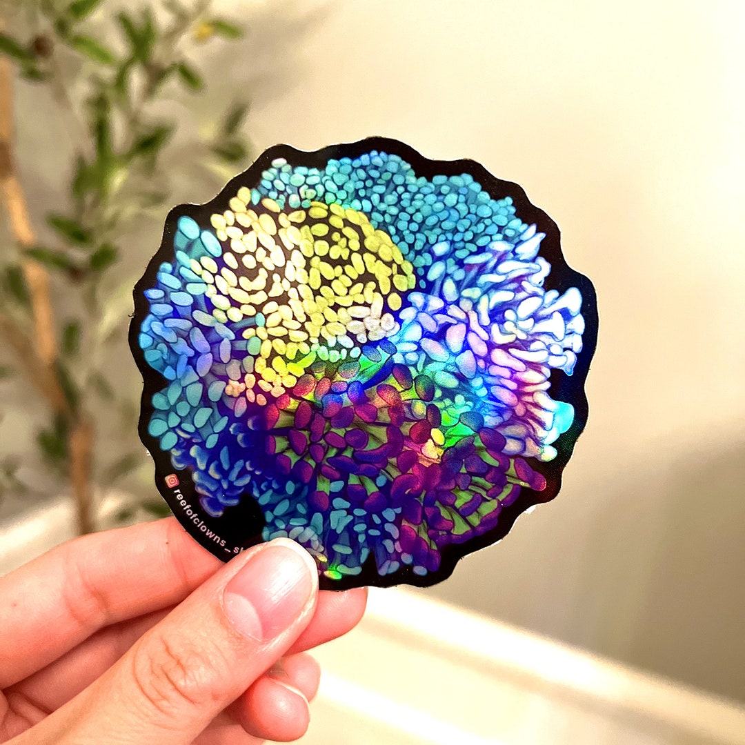 Hammer Coral Colony Sticker (holographic) | Fish Art Sticker | Aquarium ...