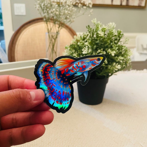 Freshwater Fish - Etsy