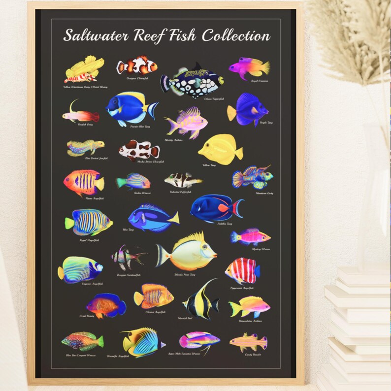 Saltwater Fish Identification Poster – Vibrant Reef Fish Wall Art With ...