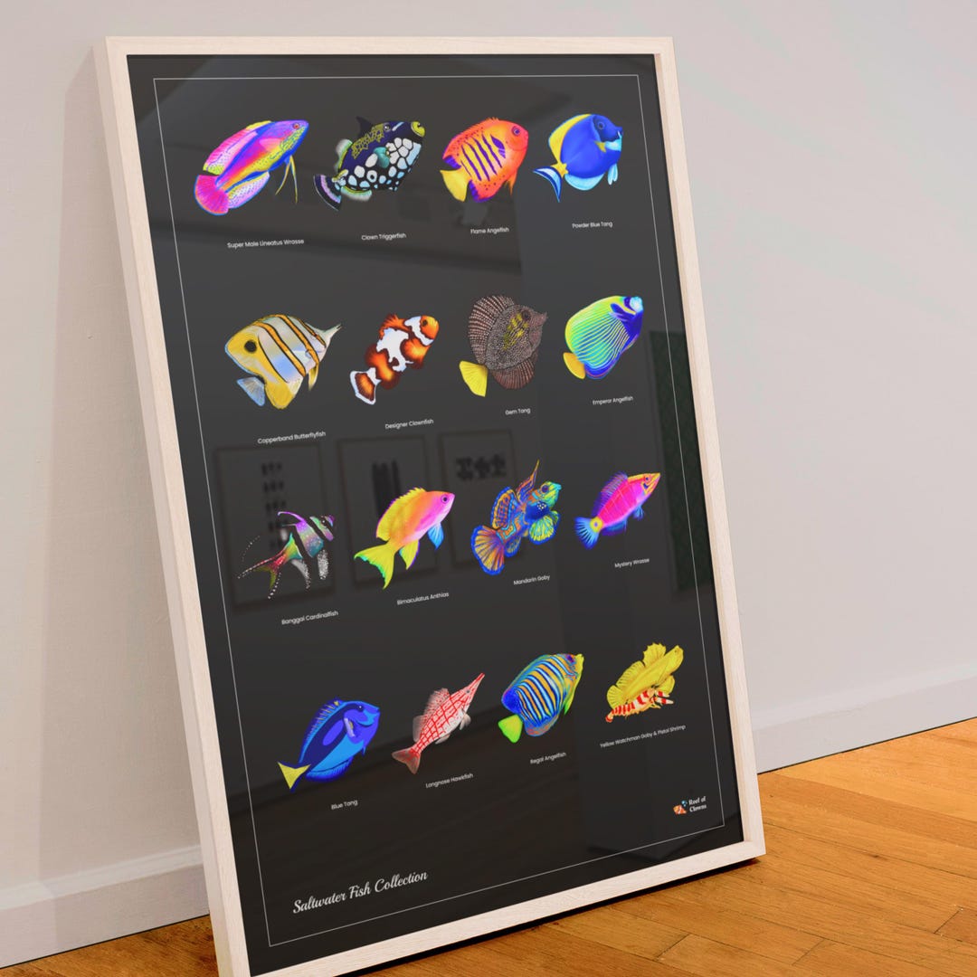 Saltwater Fish Poster Wall Art – 16 Vibrant Hand-drawn Reef Fish ...