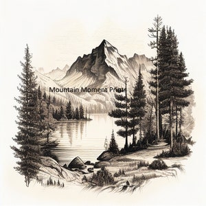 Evergreen Serenity - A Captivating Black and White Sketch of Evergreen Serenity - A Captivating Black and White Sketch of