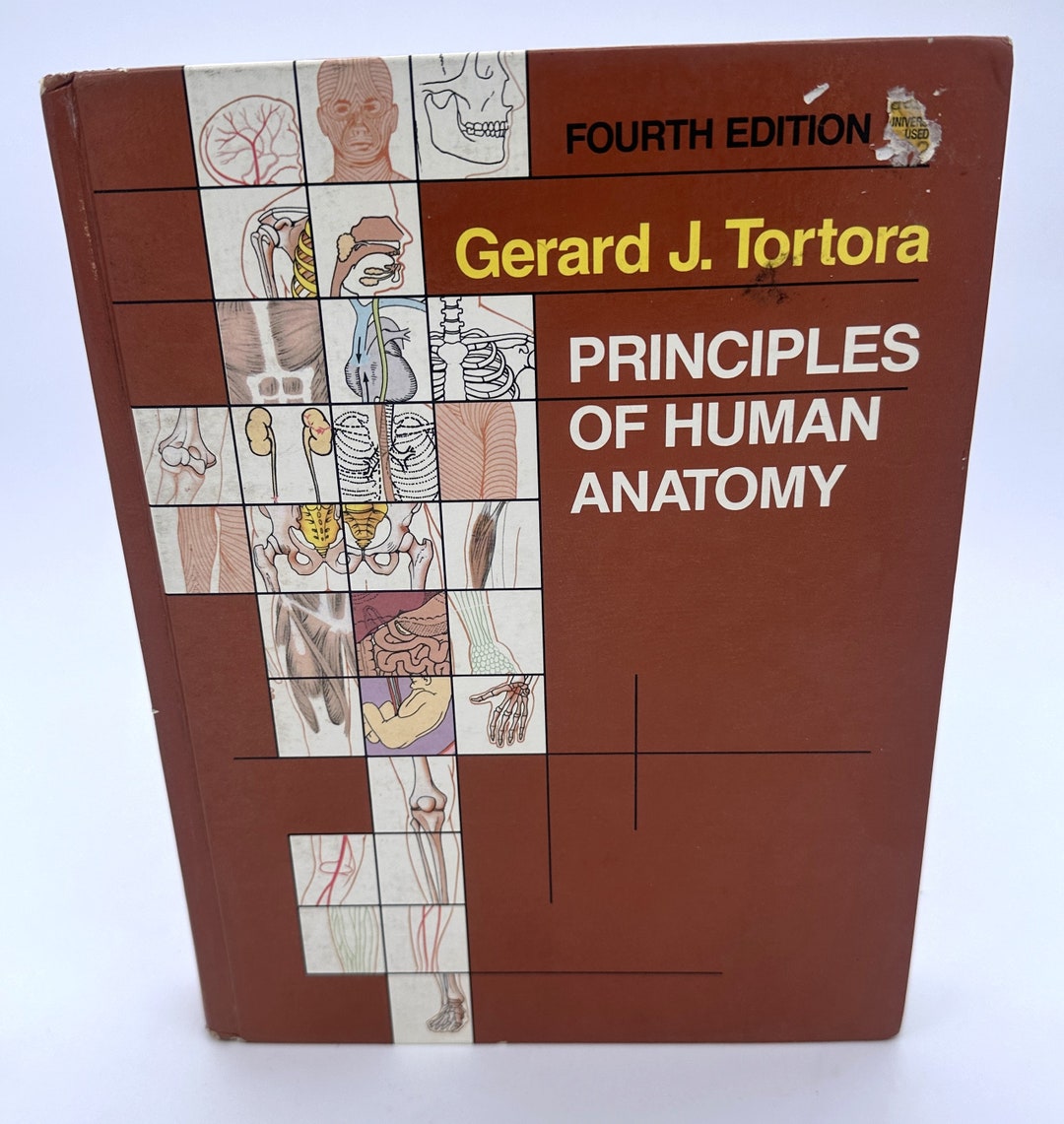 Principles of Human Anatomy Fourth Edition by Gerard J. Tortora 1986 - Etsy