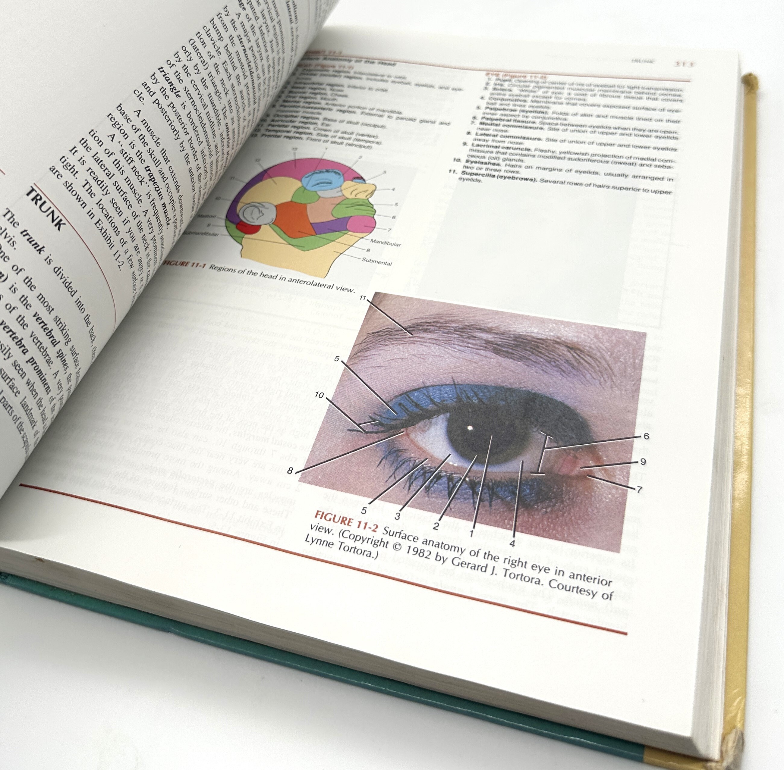 Principles of Human Anatomy, 5th Edition Hardcover 1989 by Gerard J ...