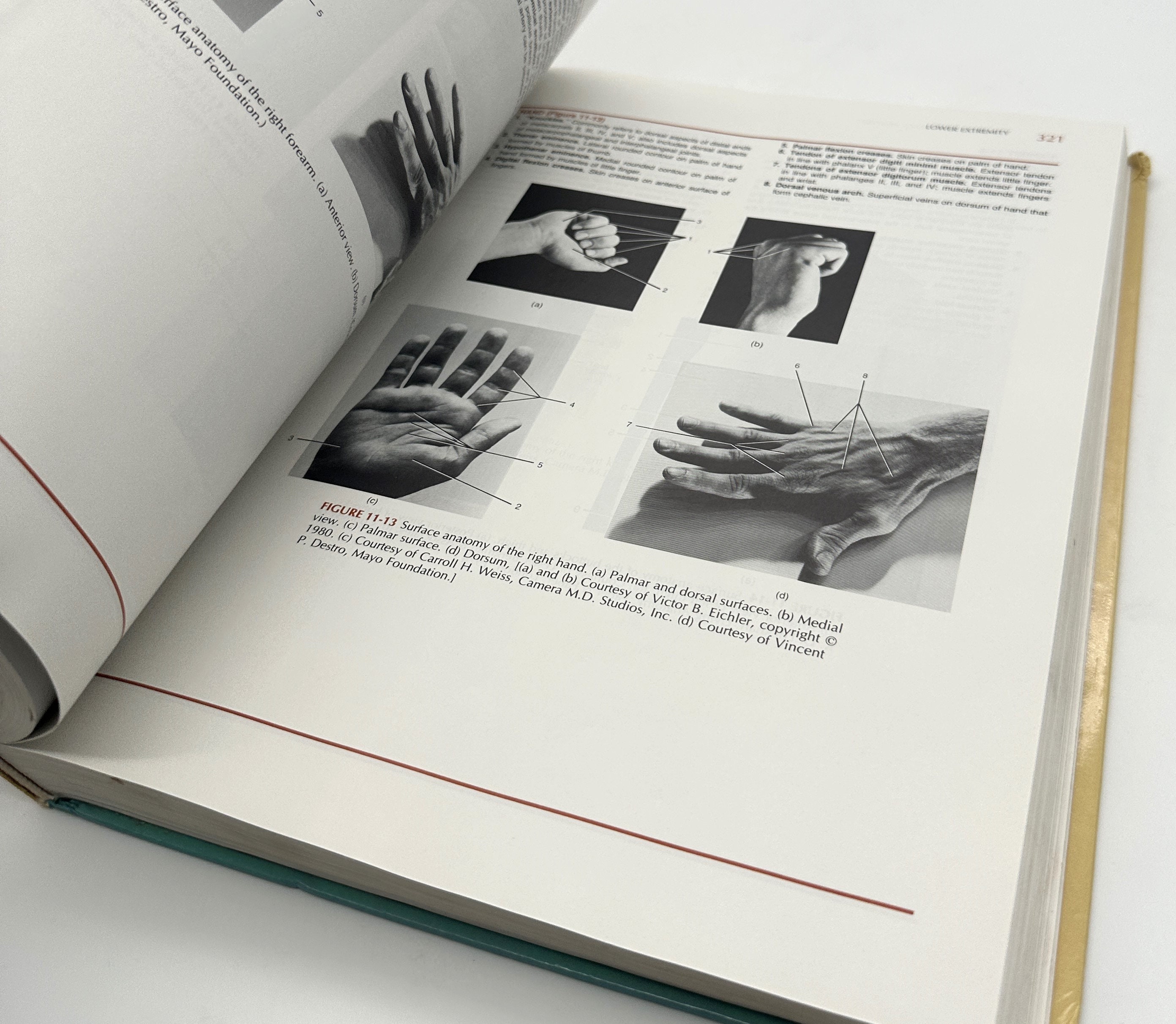 Principles of Human Anatomy, 5th Edition Hardcover 1989 by Gerard J ...