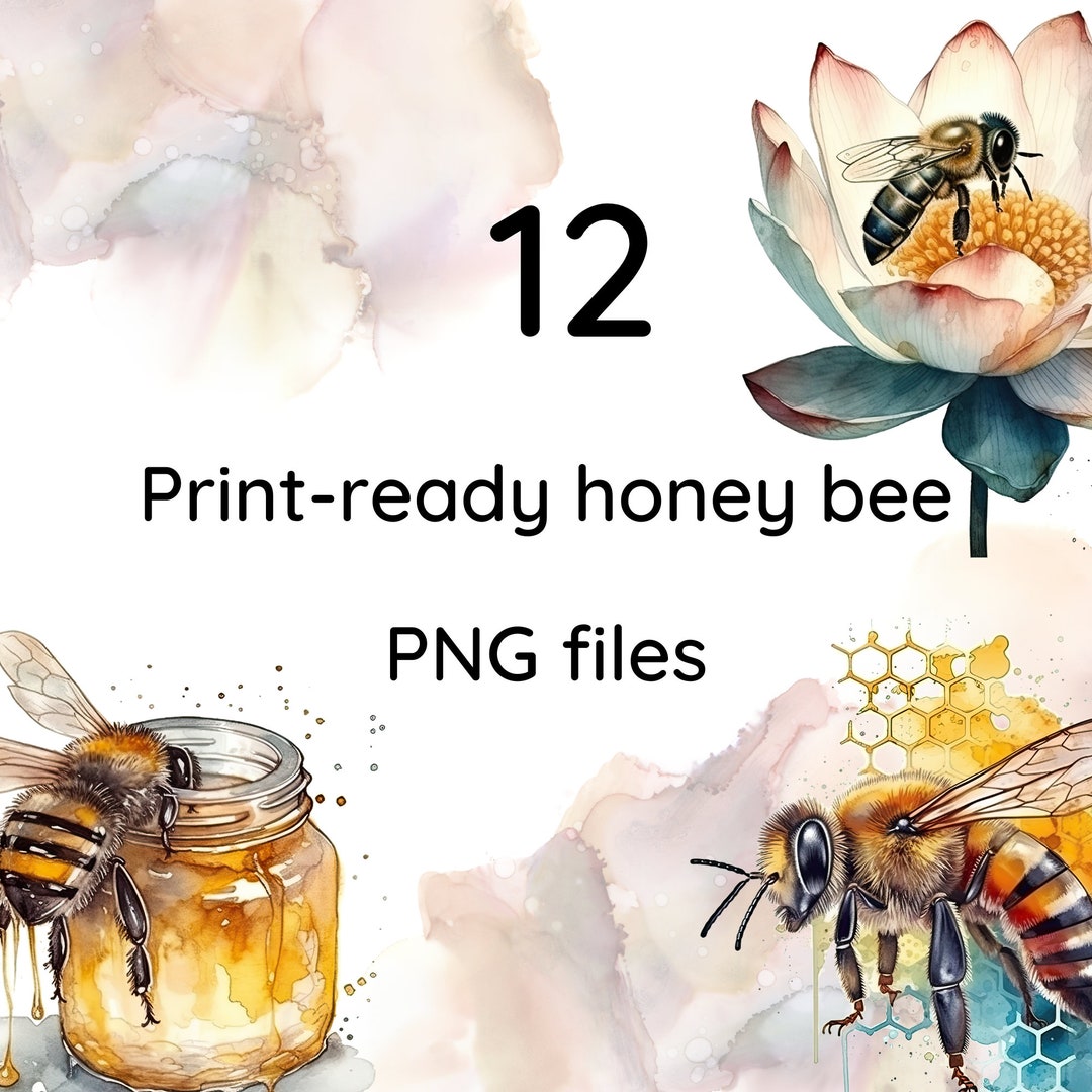 Watercolor Honey Bee Clipart | PNG | Printable Bee Stickers - Etsy