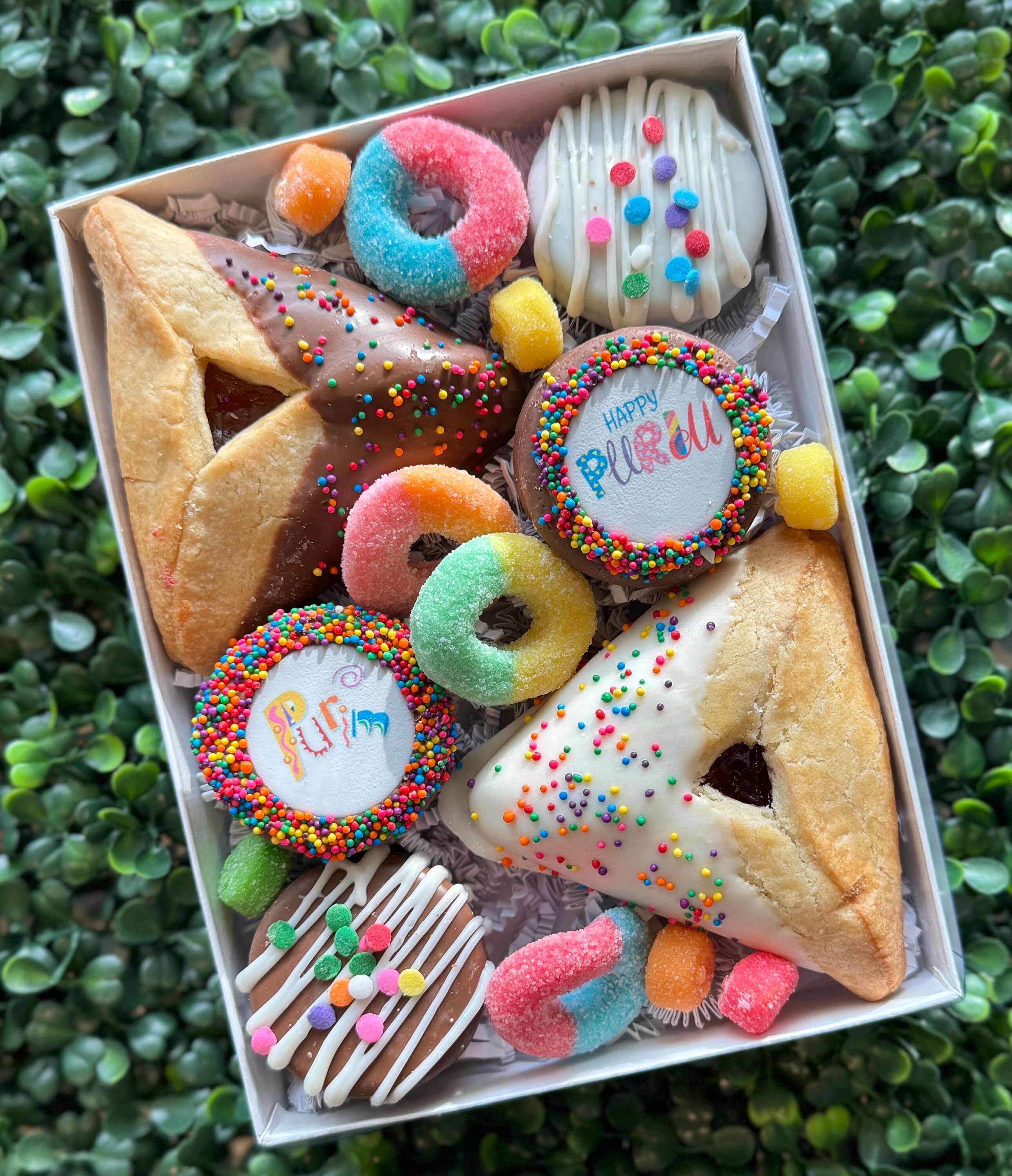 Purim Chocolate Gift Set, Purim Dessert, Purim Party Tray - Etsy