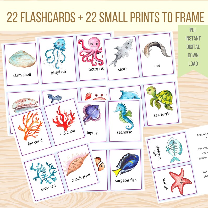 SEA CREATURE FLASHCARDS Printable Watercolor Fish - Etsy